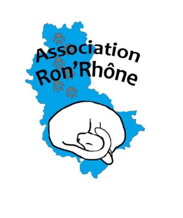 Créer une association de protection animale : comment faire ? » Blog ...