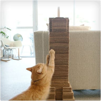 Fabriquer un griffoir : 5 solutions pas chères ! » Blog - Take Me Home